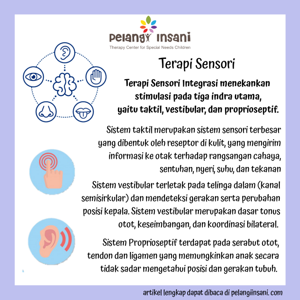Terapi Sensorial – Pelangi Insani