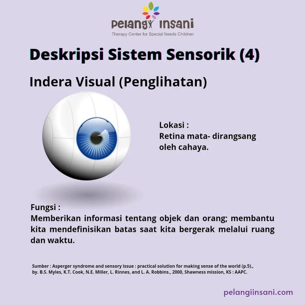 Deskripsi Sistem Sensorik Indra Visual – Pelangi Insani